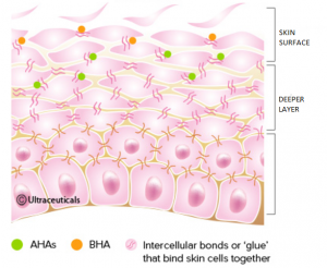 ABC of Acid Toners part 1: Alpha Hydroxy Acids (AHA) - Beauty Harbour