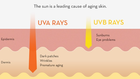 SPF vs PA+++ factor, is there a difference? and which is the better ...