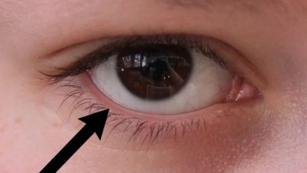 7 COMMON MAKEUP TERMS YOU NEED TO KNOW - Beauty Harbour